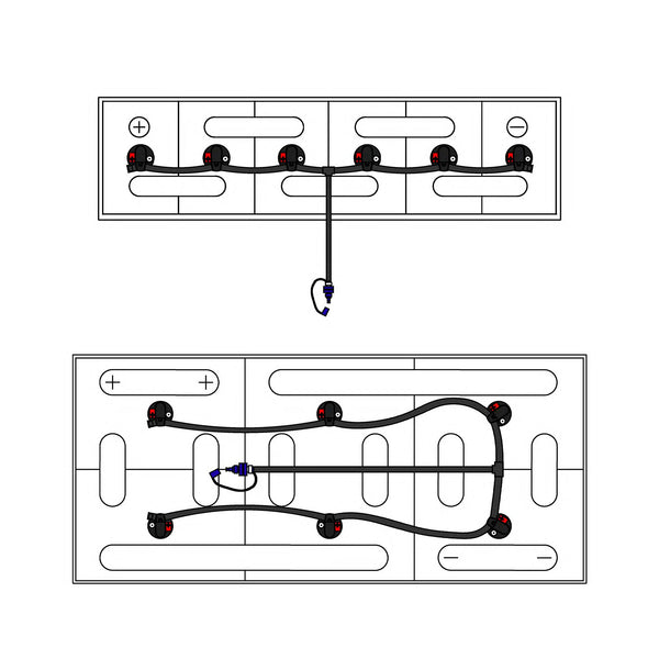 BWT Basic Watering Kits - IBP (shopibp.com)